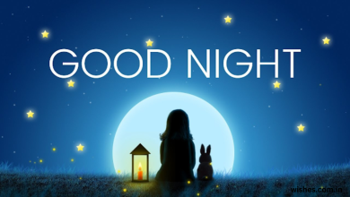 250+ Good Night Messages, Wishes and Quotes- Wishes