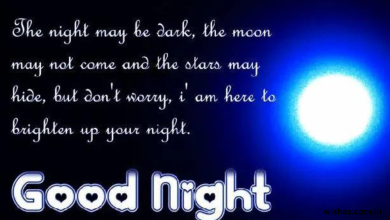 250+ Good Night Messages, Wishes and Quotes- Wishes