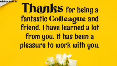 100+ Thank You and Appreciation Messages For Colleagues - Wishes