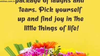 180+ Best Cheer Up Messages and Quotes- Wishes