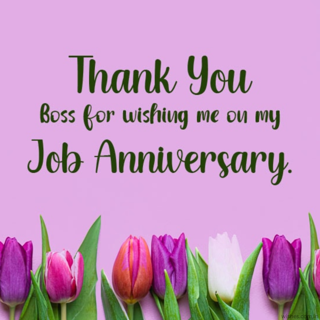 100+ Work Anniversary Wishes Reply – Thank You Messages- Wishes