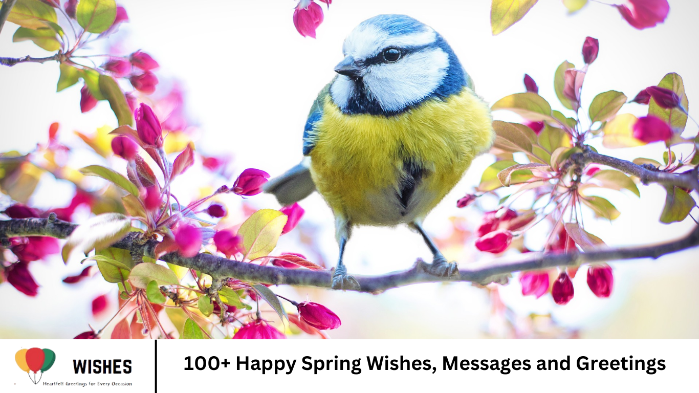 100+ Happy Spring Wishes, Messages and Greetings - Wishes
