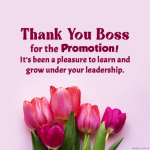 85+ Thank You Messages For Promotion and Wishes - Wishes