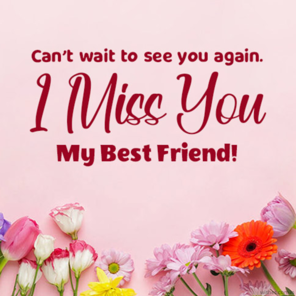 100+ Miss You Quotes and Messages for Friends- Wishes