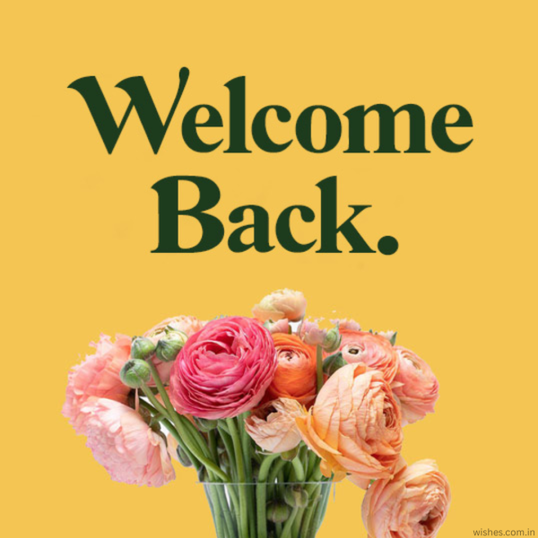 80+ Best Welcome Back Messages and Quotes- Wishes