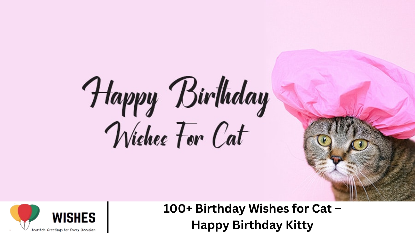 100+ Birthday Wishes for Cat – Happy Birthday Kitty - Wishes
